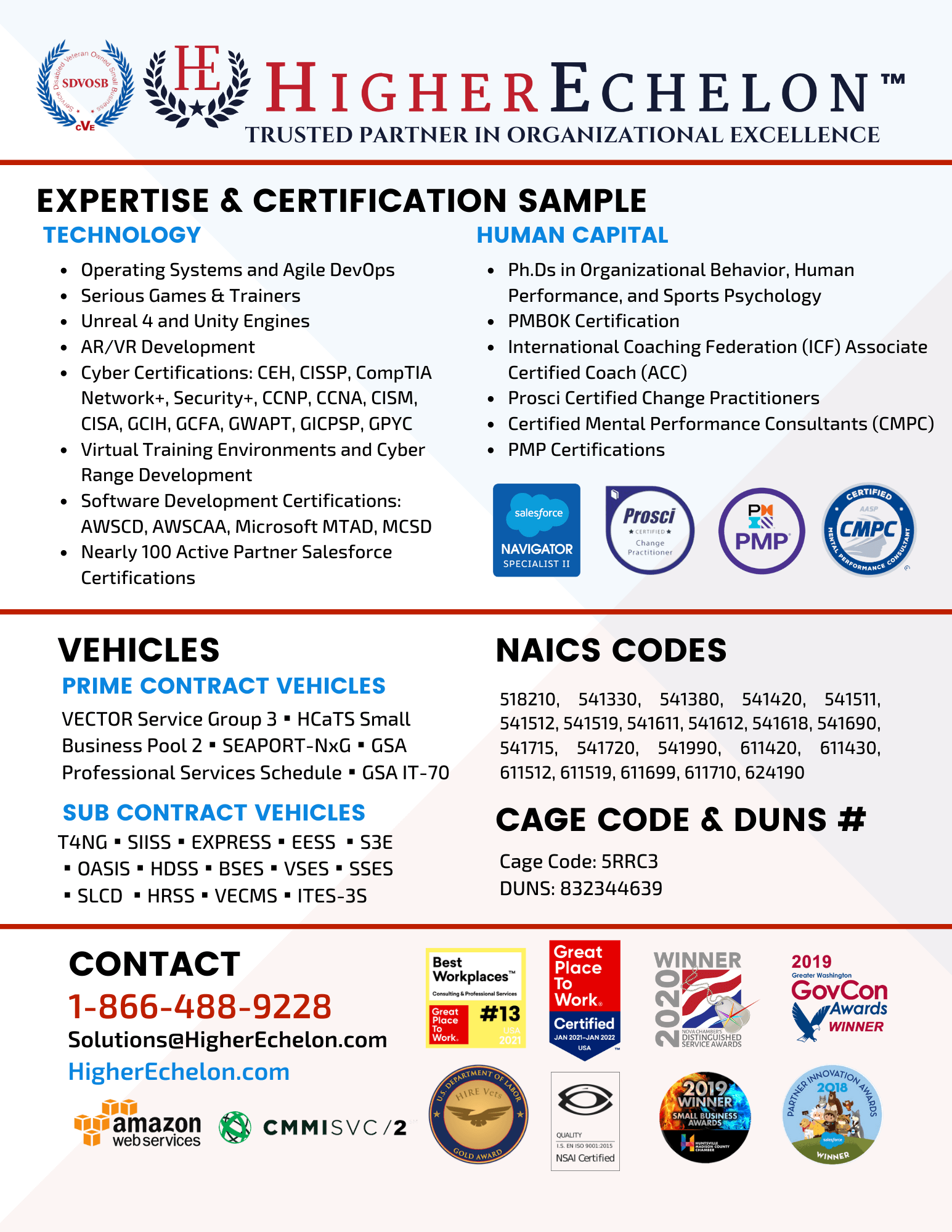 Government Services Capabilities Statement