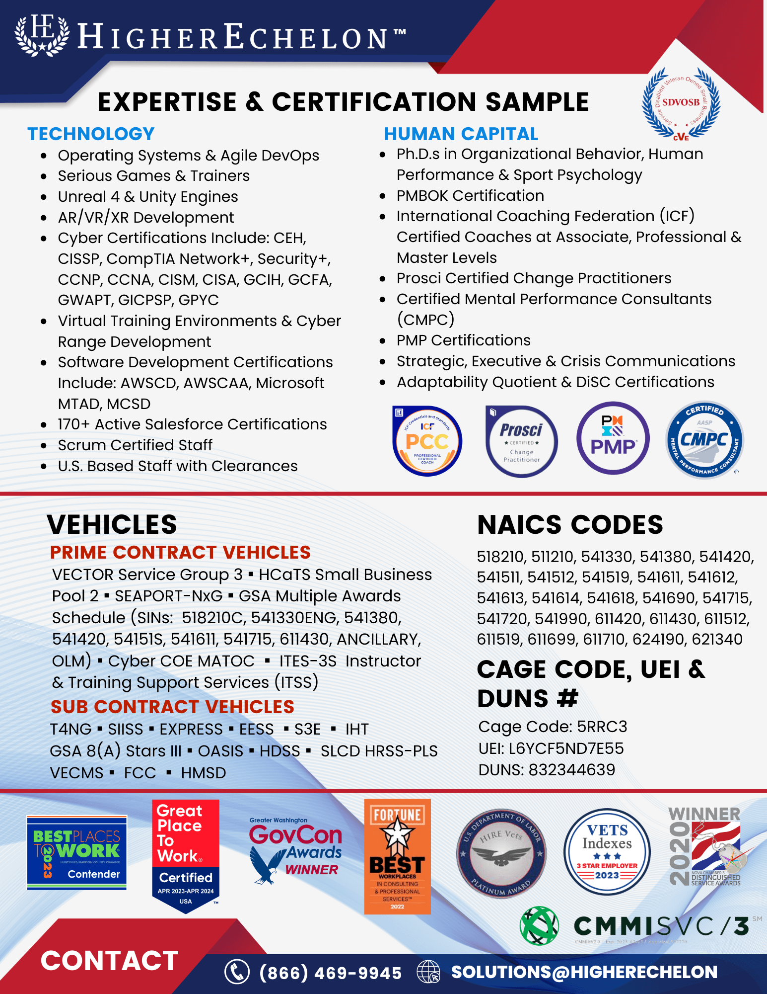 Government Services Capabilities Statement